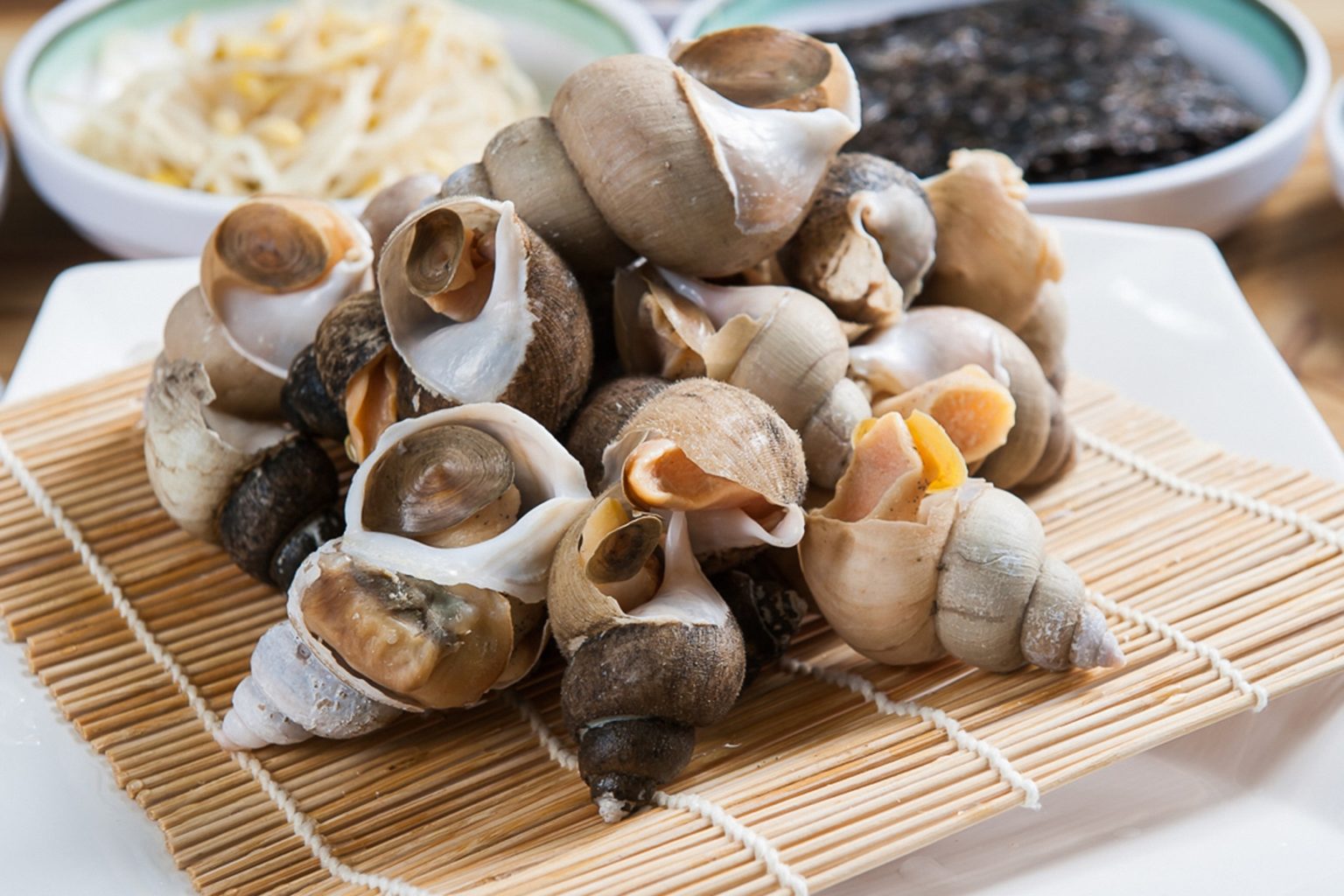 Bulots vivants 1kg – Rocher Océan