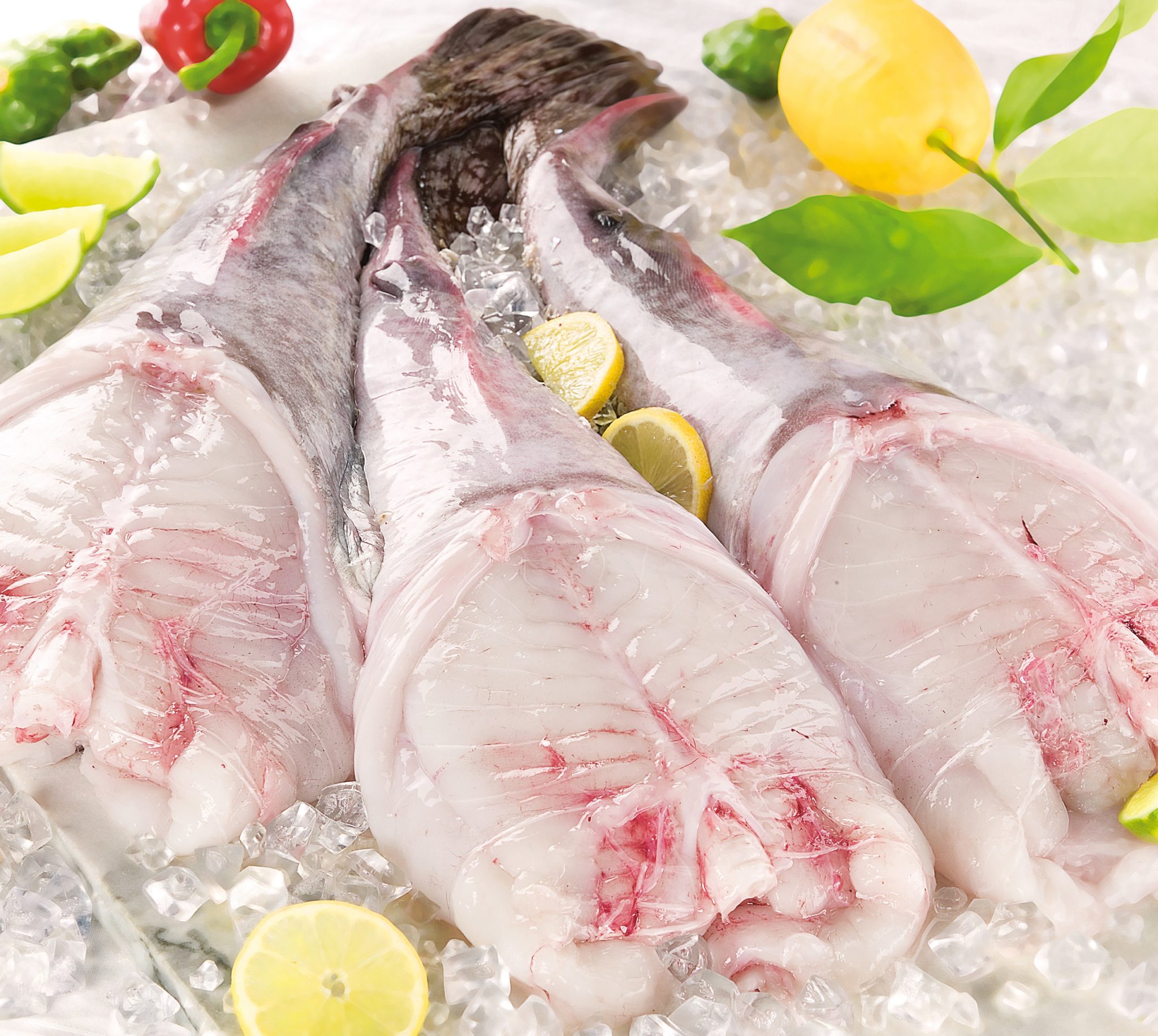 Tranche de Queue de Lotte 200g – Rocher Océan